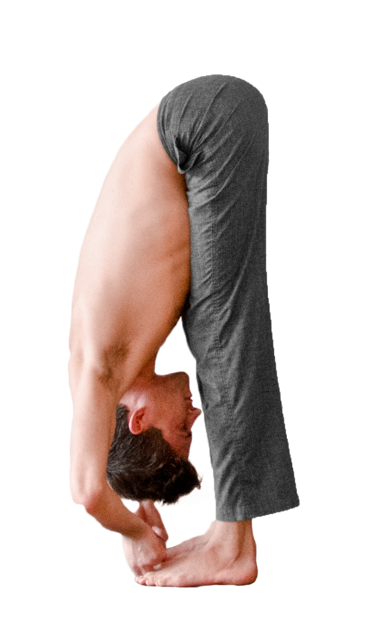 Padangustasana & Pada Hastasana | Asana Project | UP4Yoga | Practicing ...